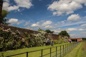 Hatton Grange | Friends of Shropshire Archives